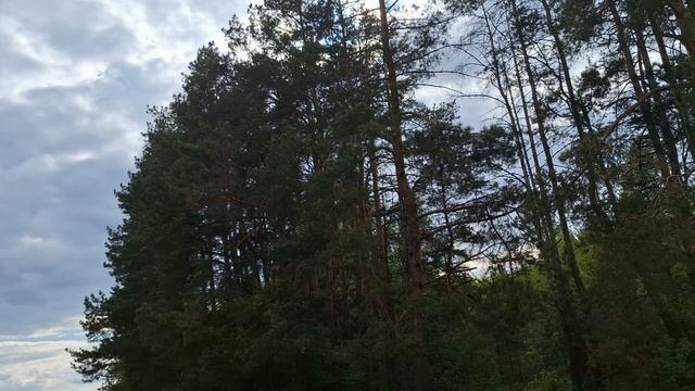 +МУЗЕЙ+ фильмы, ужасы, кино, фильм, смотреть онлайн, лучшие фильмы, новинки кино, зарубежные фильмы,