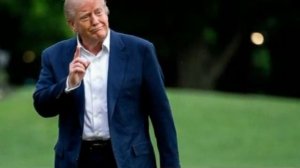 Трамп поддержал идею Зеленского и призвал Кремль к 30-ти дневному перемирию