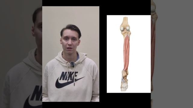 Ч2 |7 лучших упражнений для работы с голеностопом #sport #rehabilitation #ankleinjury