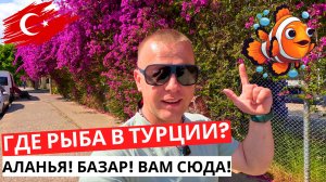 Что за РЫБНЫЙ базар в Аланье! ТУРЕЦКАЯ ЖИЗНЬ сегодня!