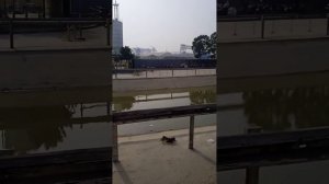 Прошу совет у подписчиков....
