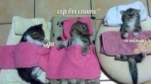Alex_Xozaiva
