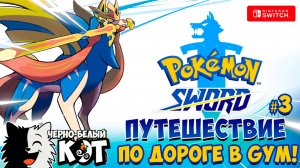 Pokemon Sword: По дороге в Gym #1!