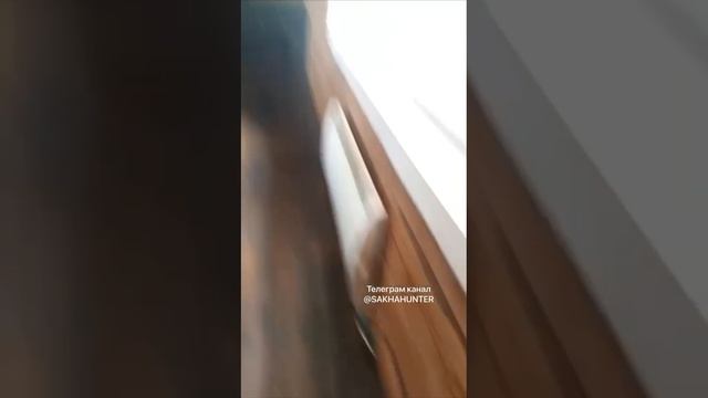 WhatsApp Video 2025-05-10 at 10.52.50