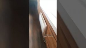 WhatsApp Video 2025-05-10 at 10.52.50