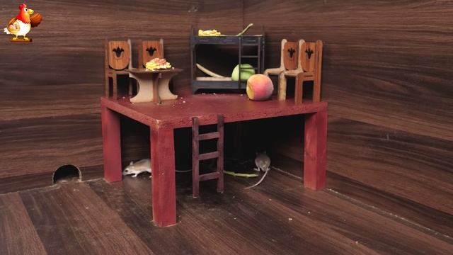 Видео для кошек про крысок развлекать питомцев 🐭🐀😂 (92)