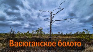 Поездка на Васюганское болото, ездил на экскурсию с группой и опытными инструкторами, 3 мая 2025 г.