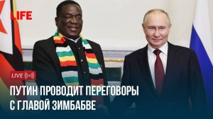 Путин проводит переговоры с главой Зимбабве