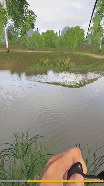 Русская Рыбалка  4 Трофейный окунь на р.Вьюнок. #fishing #rr4