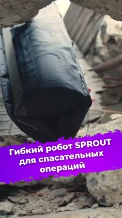 Гибкий робот SPROUT для спасательных операций #sprout #робот #новости #наука #технологии #ixbt