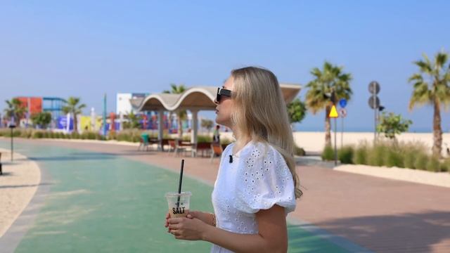 Жизнь и работа в Дубае: секреты успеха брокера SPI Dubai. Н? - смотреть ...