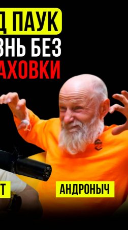 СЕКРЕТ ДЕДА ПАУКА
