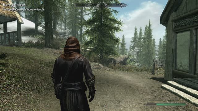 The Elder Scrolls V: Skyrim Special Edition. [Маг][эксперт][выживание] строю обстановку в дом #3 \