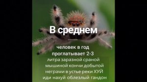 Лютые приколы. Большой лук !!!