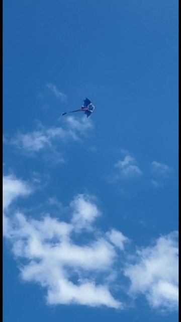 Воздушный змей, его полёт высок