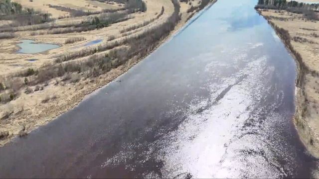 Дрон, квадрокоптер