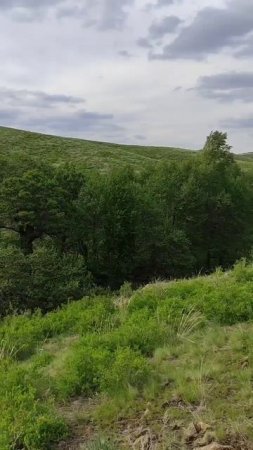Дикий родничок на Урале