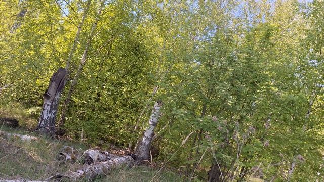 * НЕ СПОКОЙНЫЕ НОЧИ * фильмы, ужасы, кино, фильм, смотреть онлайн, лучшие фильмы, новинки кино, зару