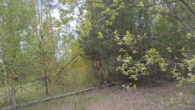 *ОСЕННИЙ ВЕЧЕР* фильмы, ужасы, кино, фильм, смотреть онлайн, лучшие фильмы, новинки кино, зарубежные