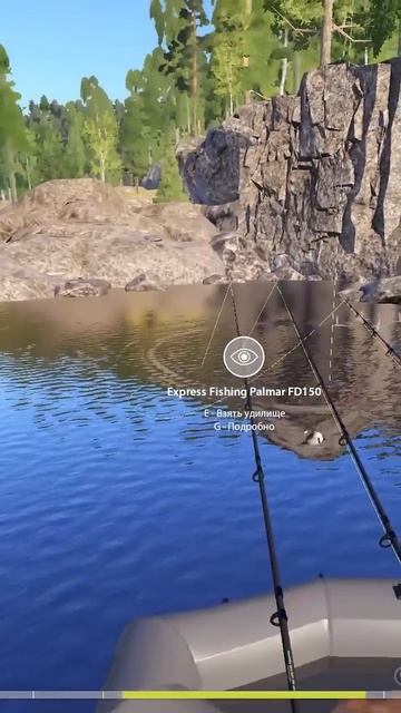 Трофейный Карась Серебряный на оз. Ладожском. #fishing #рыбалка