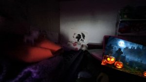 Славик и семья, Слава и Миша смотрят страшилки