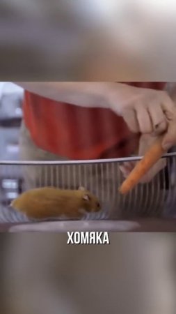 😳Безумная рекламная компания