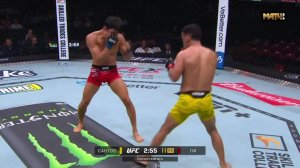 Даниэл Сантос победил Джеонг Йеонг Ли (видео). UFC 315