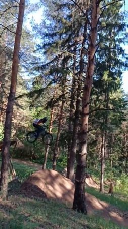 Не повторять #дерт#video #shortsvideo #shortsyoutube #природа #лес #отдых #sports #shorts