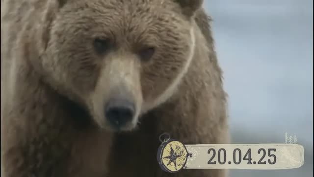 20_04_25_Встреча_в_Беседке_Концепция_Концептуального_Управления_
