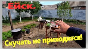 Скучать не приходится. Живем на юге. Ейск.