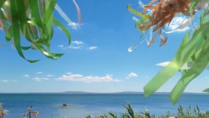 Переезд к морю,продается участок ст.Голубицкая Краснодарский край