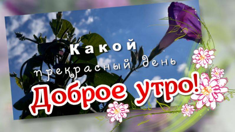 Доброе утро. Какой прекрасный день настал, позитивная песня