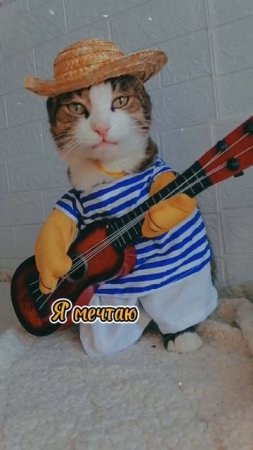 Я играю на балалайке| #смешныекоты #мяу #мило