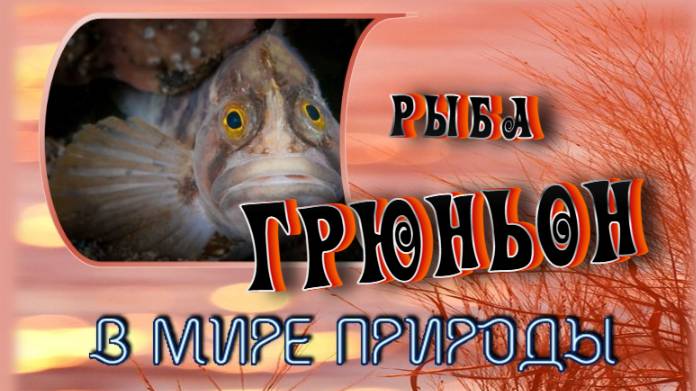 📗 "Грюньон" ~ СЛАЙДЫ | РАССКАЗ Христианский 👧☀️ АУДИОРАССКАЗ