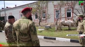 В День памяти и скорби народов ЧР в республике прошли масштабные благотворительные акции