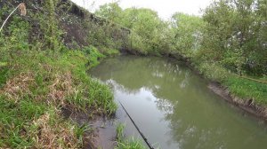 Голавль на спиннинг в начале мая. Рыбалка в холодную и мокрую погоду