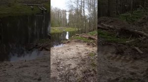 Через реку Кересть. .......