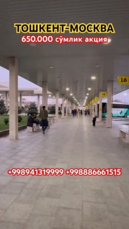 ТОШКЕНТ-МОСКВА 650.000 СЎМЛИК АКЦИЯ ДОИРАСИДА КЕТГА ЙЎЛО?
