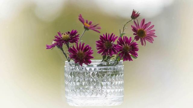 Я назову тебя зоренькой..