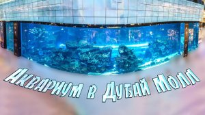 Аквариум в Дубай Молл
