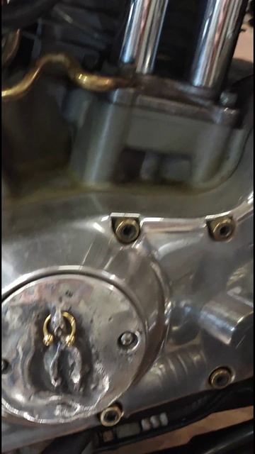 Крышка с розой на Harley-Davidson Sportster!