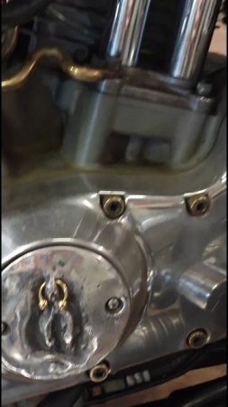 Крышка с розой на Harley-Davidson Sportster!