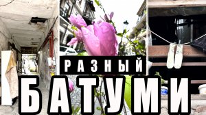 Как люди живут в Батуми: Фасад и Подворотни