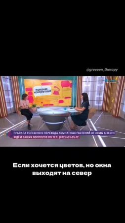 Если хочется цветов, но окна выходят на север