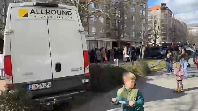 Голосование 2024 Германия.