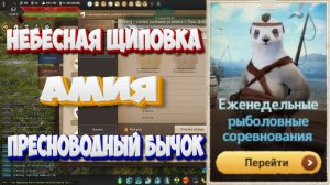 Black Desert. Рыболовные соревнования.  11-17 мая 2025. Небесная щиповка, Амия, Пресноводный бычок.