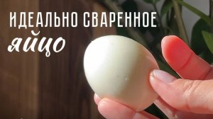 Как сварить яйца, чтобы при очистки не  повредить белок