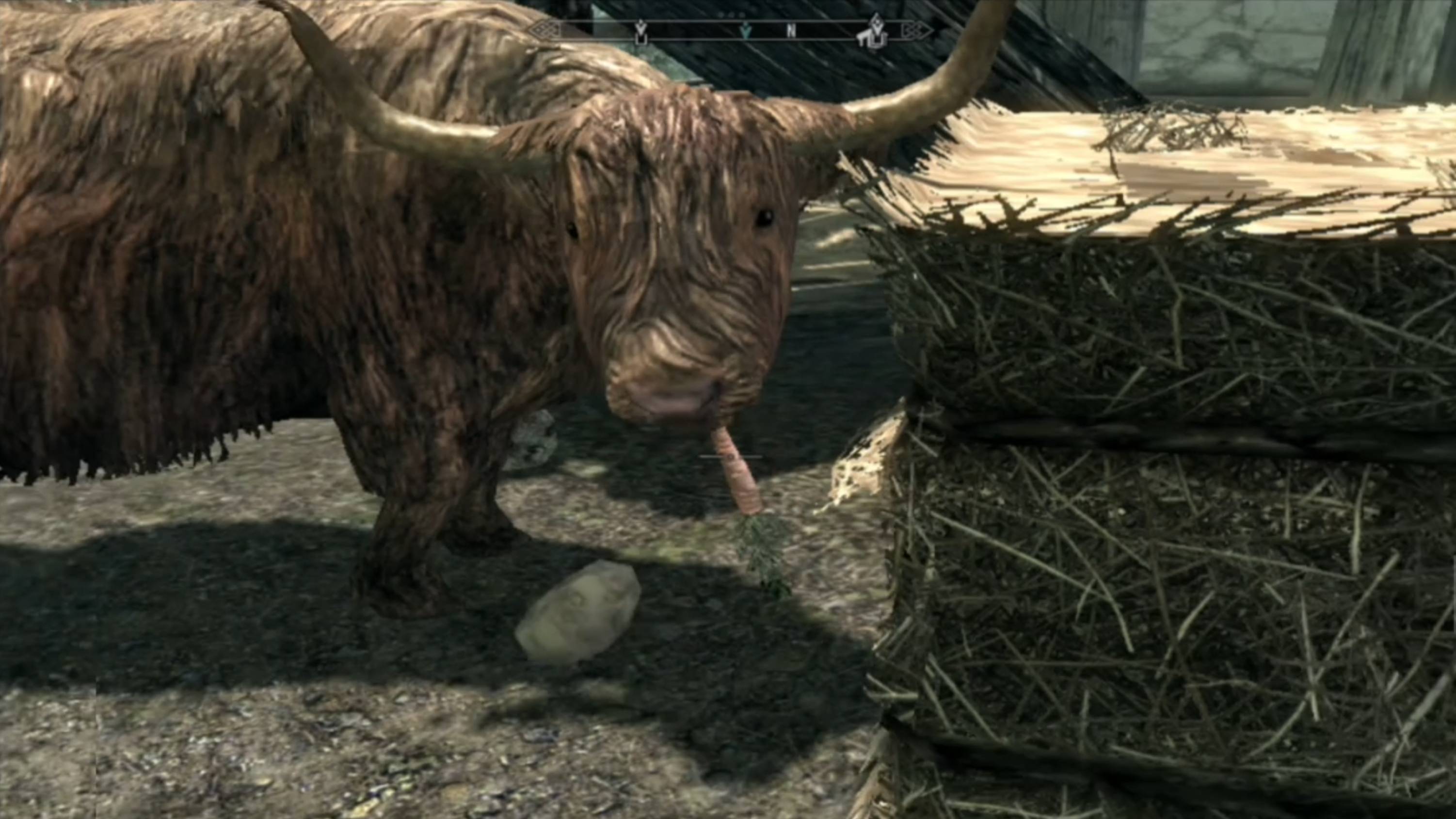 Skyrim Dayoff in Falkeath