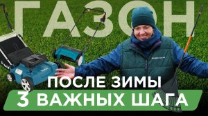 Газон после зимы: 3 важных шага