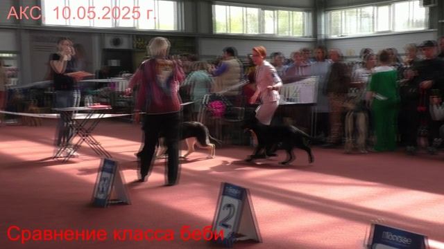 Сравнение класса беби